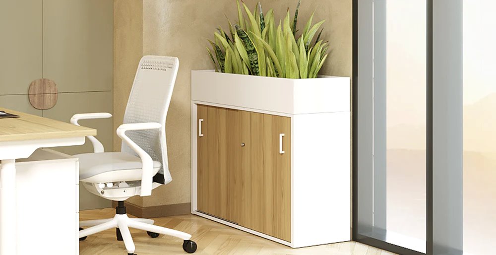 Lockable Storage Cabinets: Securely Organizing and Storing Office Item