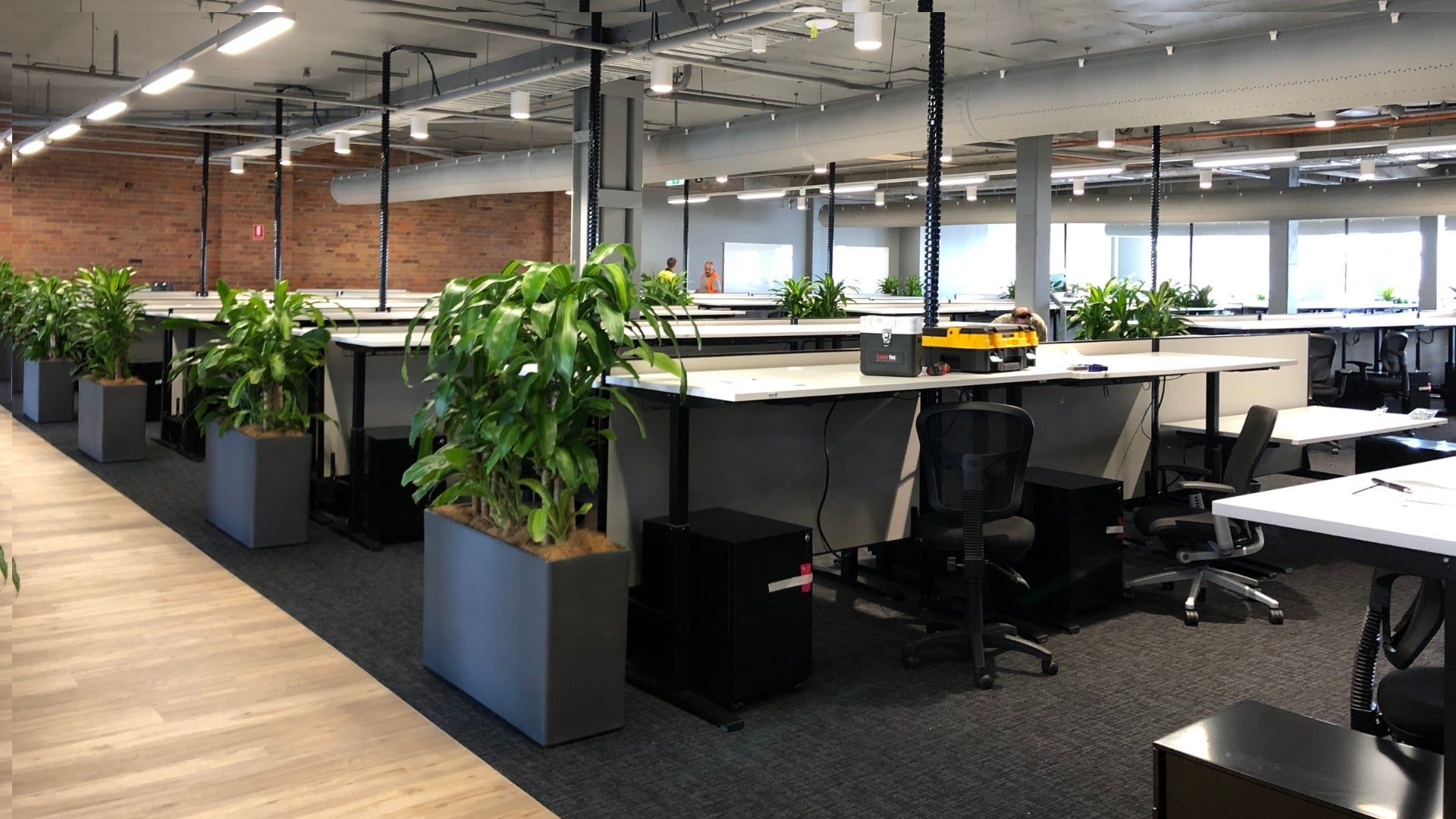 Why going green is good for business – and your team