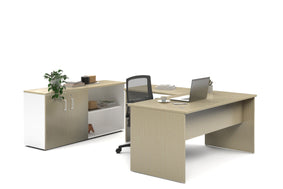 Executive Desks | Executive Office Desks | JasonL